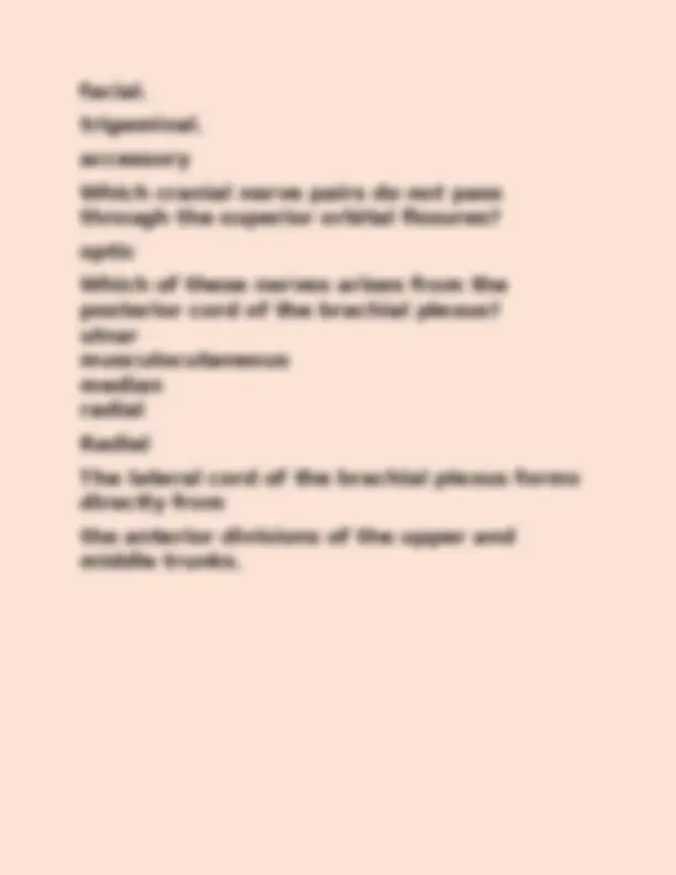 Nightingale Anatomy Final Chapter 13 & 14(with answers and diagrams ...