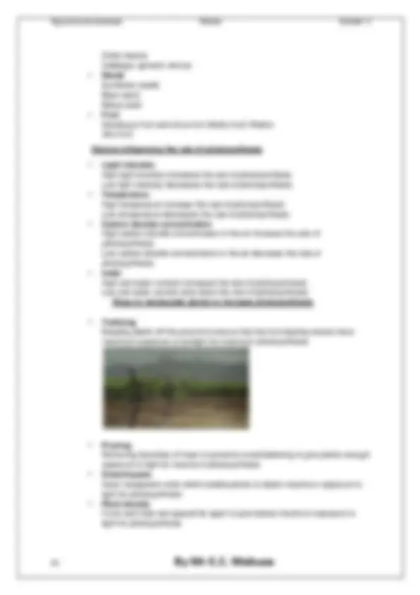 Grade 11 Agricultural sciences | Study notes Earth science | Docsity