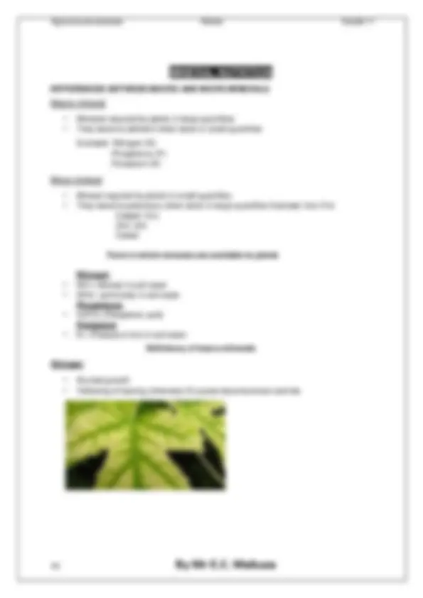 Grade 11 Agricultural sciences | Study notes Earth science | Docsity