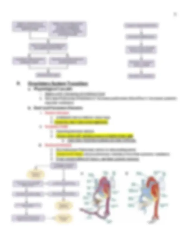 Physiological and Behavioral Components of the Neonate Transition to ...