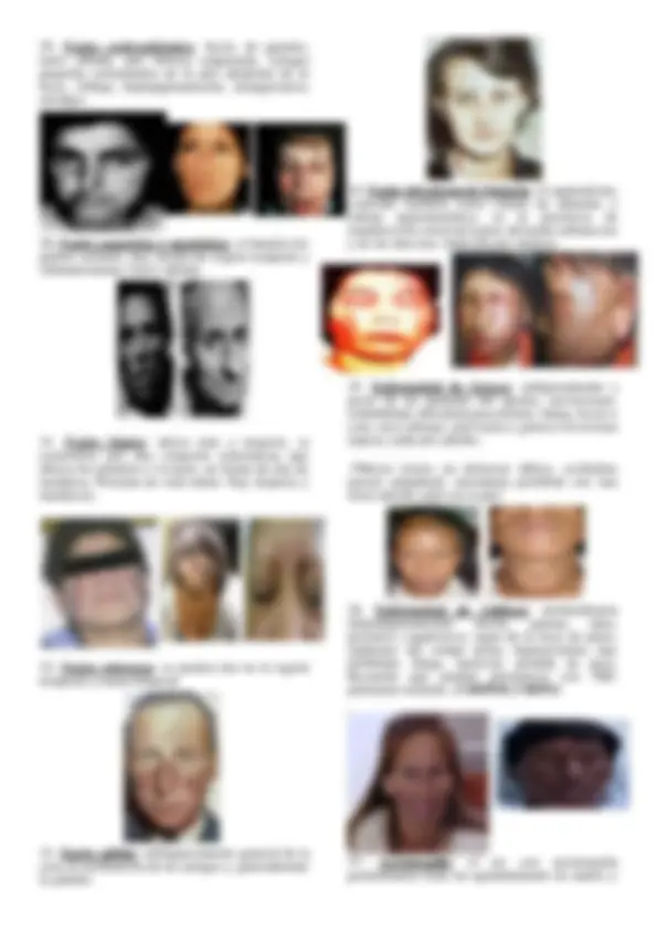Facies y Biotipo: Evaluación Clínica del Rostro y Constitución Física ...