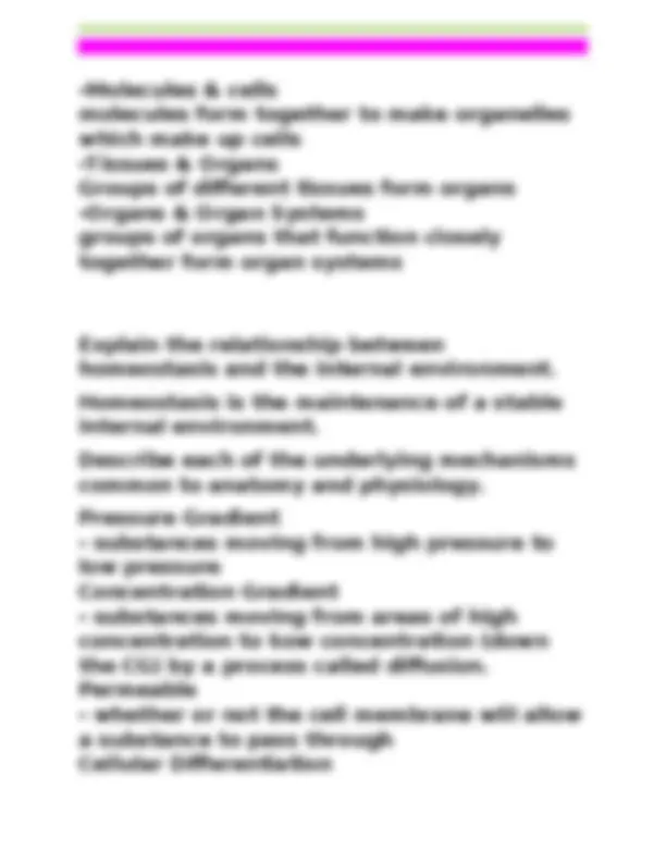 Introduction to Human Anatomy and Physiology | Exams Nursing | Docsity