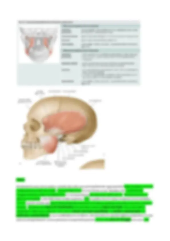 Anatomia dell'Articolazione Temporo-Mandibolare e del Collo ...