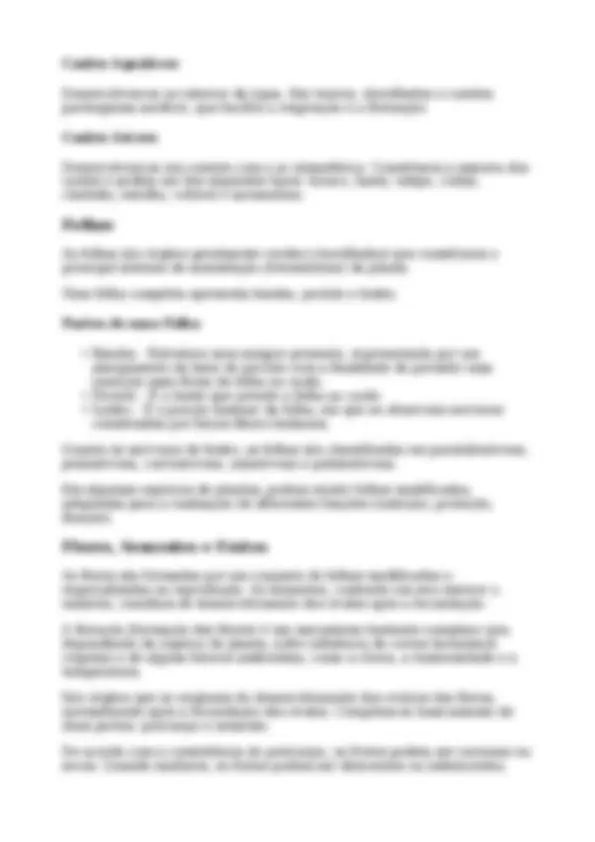 Morfologia e Anatomia Vegetal: Uma Abordagem Completa dos Órgãos ...