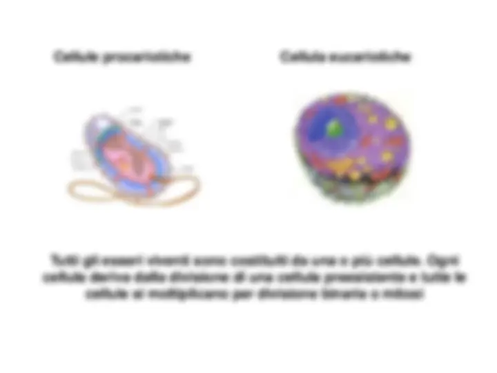 Biologia Cellulare: Cellule Procariotiche ed Eucariotiche | Slide di ...