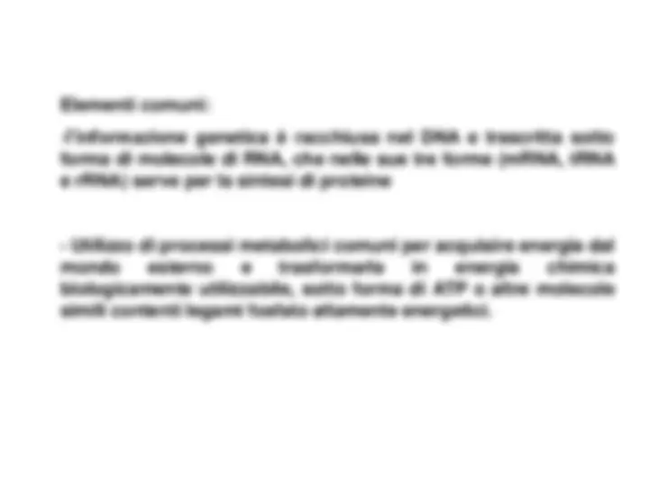 Biologia Cellulare: Cellule Procariotiche ed Eucariotiche | Slide di ...