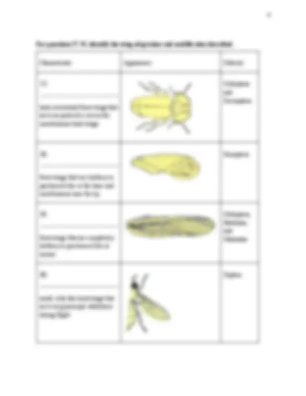 Scioly Div C Entomology Practice Test: Insect Identification and ...