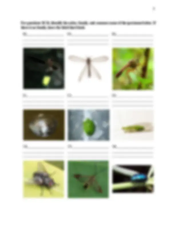 Scioly Div C Entomology Practice Test: Insect Identification and ...