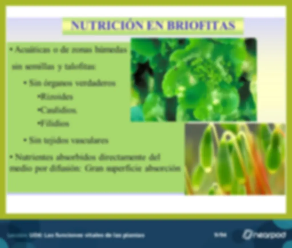 Las funciones vitales de las plantas: UD6 | Resúmenes de Biología | Docsity