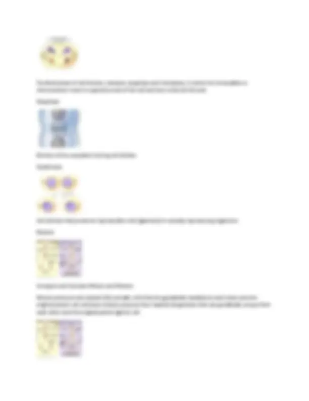 Cell Biology: Mitosis, Meiosis, and Cell Structure Review | Exams ...