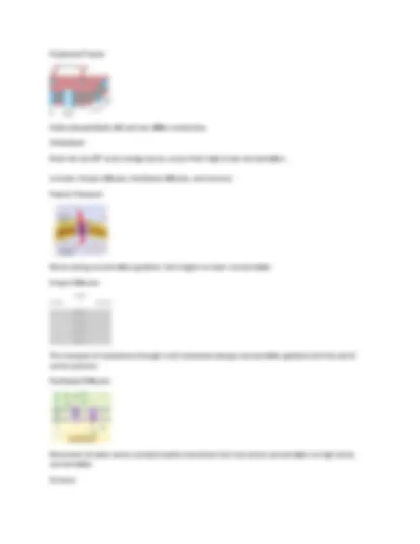 Cell Biology: Mitosis, Meiosis, and Cell Structure Review | Exams ...