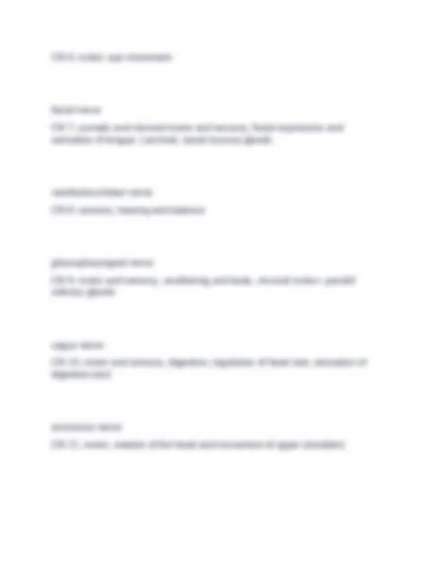 BIOD 152 Module 2 Test: Human Brain and Spinal Cord Anatomy and ...