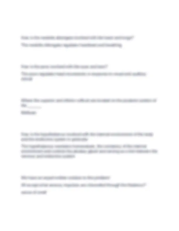 BIOD 152 Module 2 Test: Human Brain and Spinal Cord Anatomy and ...