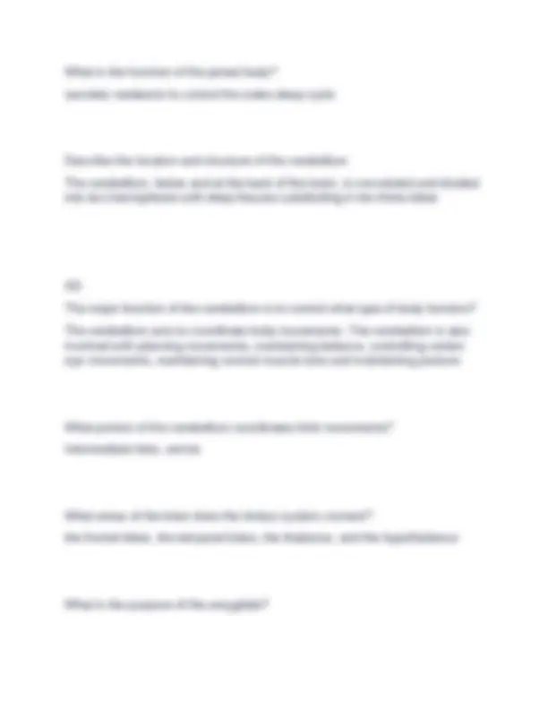 BIOD 152 Module 2 Test: Human Brain and Spinal Cord Anatomy and ...