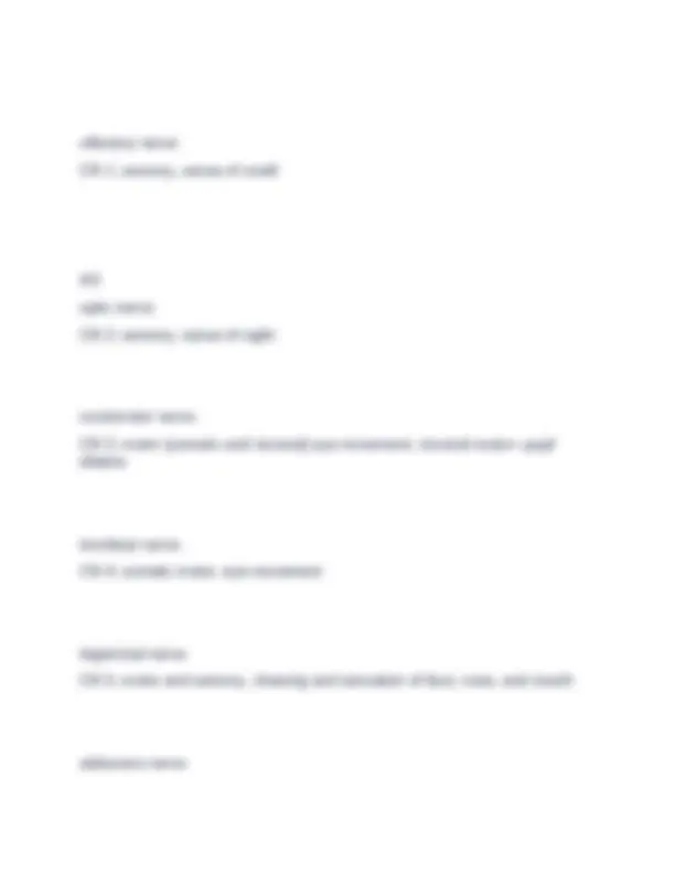 BIOD 152 Module 2 Test: Human Brain and Spinal Cord Anatomy and ...
