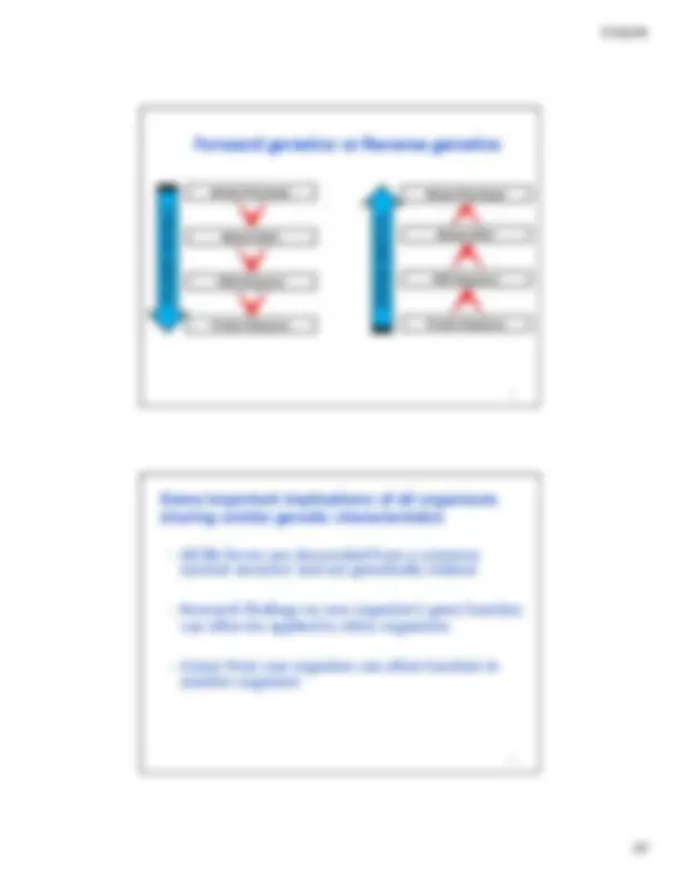 Introduction to Genetics: Lecture Notes | Summaries Mathematics | Docsity