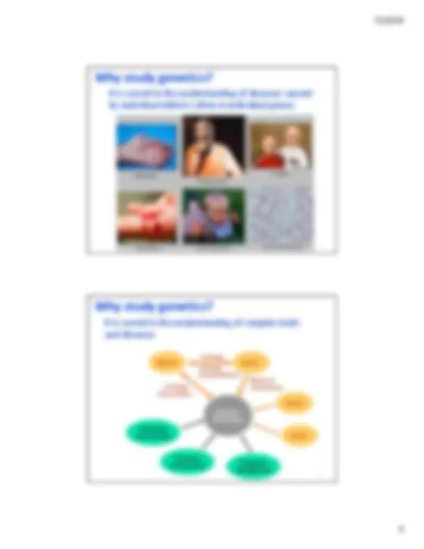 Introduction to Genetics: Lecture Notes | Summaries Mathematics | Docsity