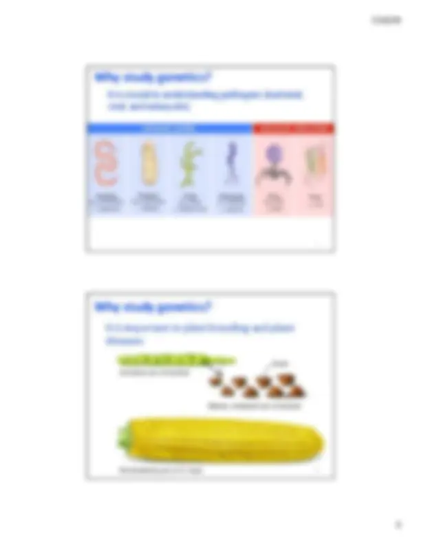 Introduction to Genetics: Lecture Notes | Summaries Mathematics | Docsity
