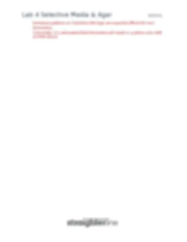 Straighterline Microbiology Lab BIO250L Lab 4 Selective Media & Agar ...