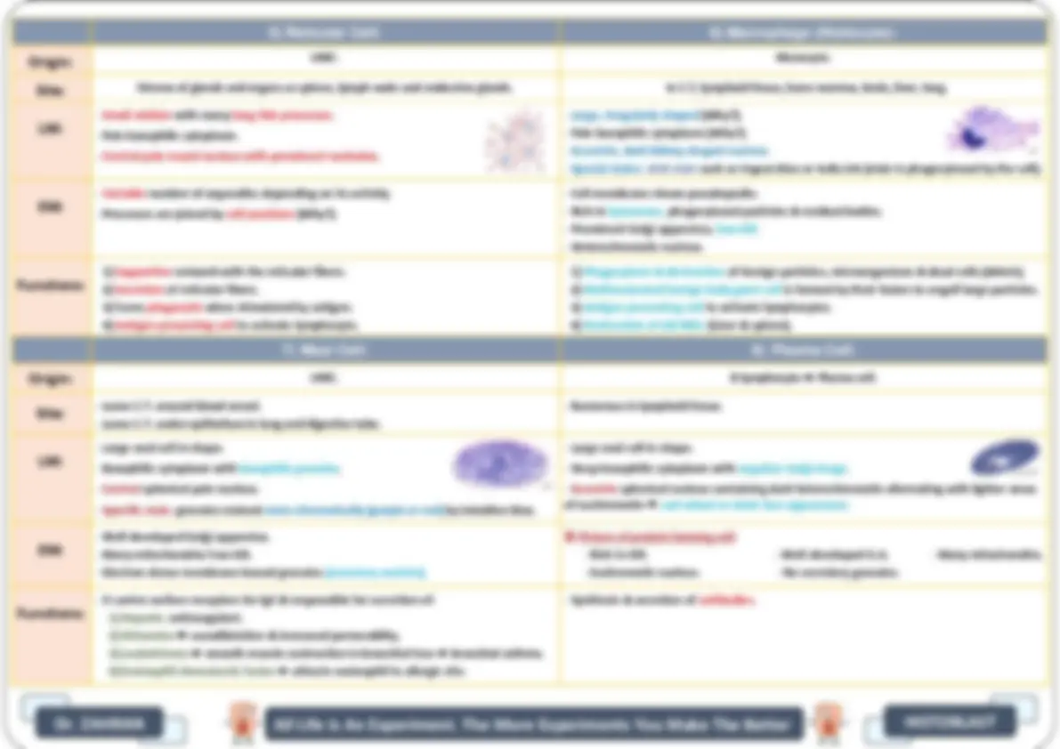 Histology Notes: Epithelial and Connective Tissues | Schemes and Mind ...