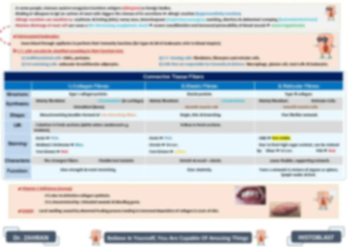 Histology Notes: Epithelial and Connective Tissues | Schemes and Mind ...