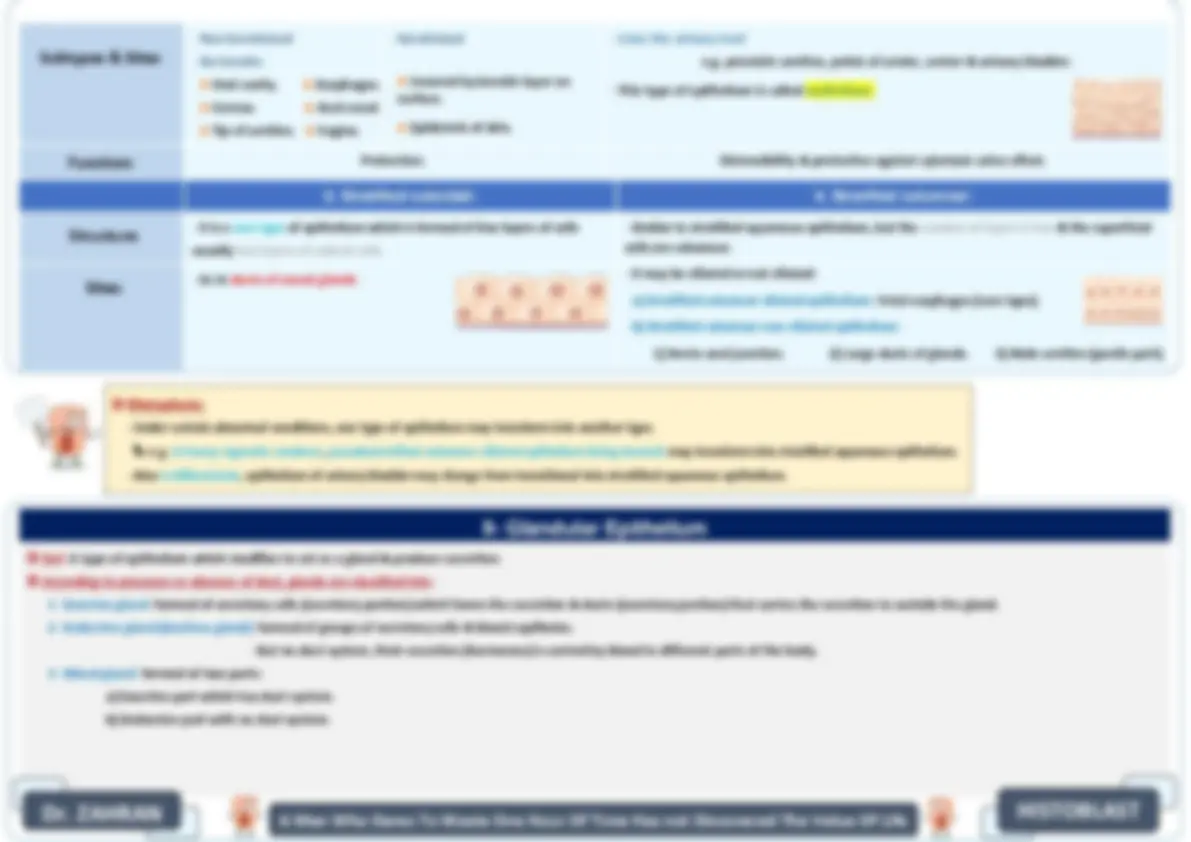 Histology Notes: Epithelial and Connective Tissues | Schemes and Mind ...