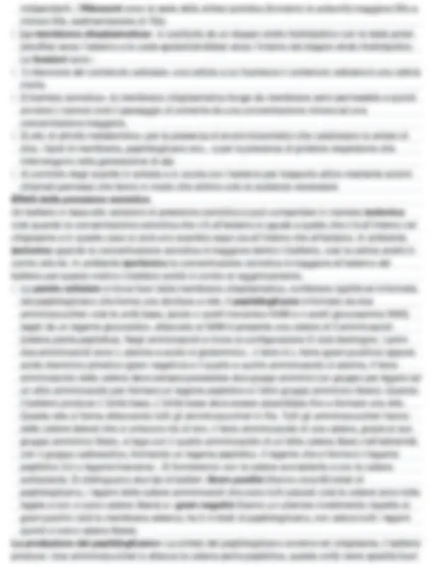 Morfologia e Struttura dei Batteri: Un'Introduzione | Slide di ...