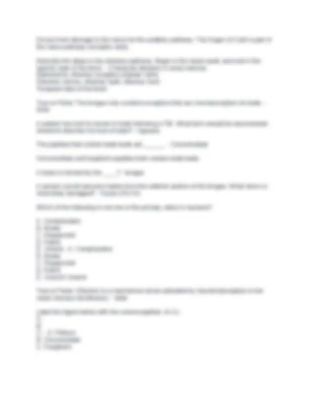 PORTAGE AP 2 MODULE 3 EXAM: Sensory System | Exams Advanced Education ...