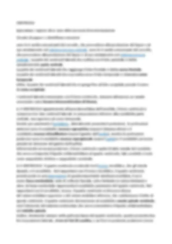 Anatomia del Cuore: Struttura, Funzioni e Vascolarizzazione | Appunti ...