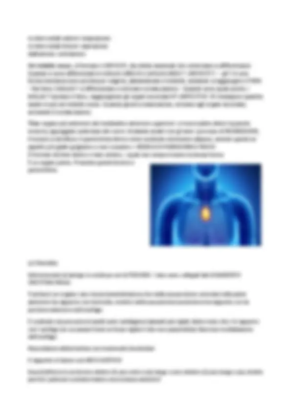 Anatomia del Cuore: Struttura, Funzioni e Vascolarizzazione | Appunti ...