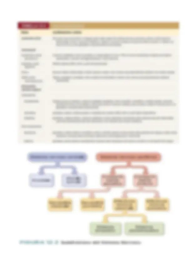 Anatomia del Cuore: Struttura, Funzioni e Vascolarizzazione | Appunti ...