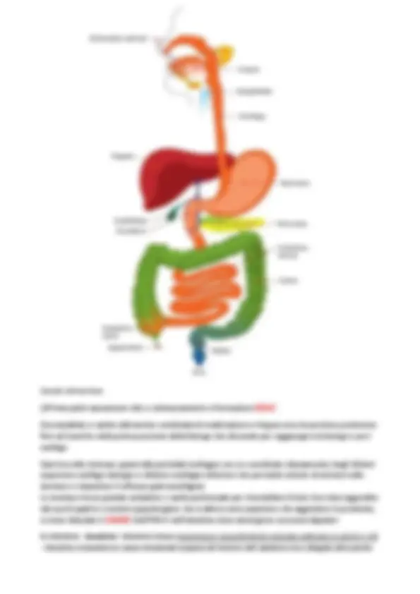 Anatomia del Cuore: Struttura, Funzioni e Vascolarizzazione | Appunti ...