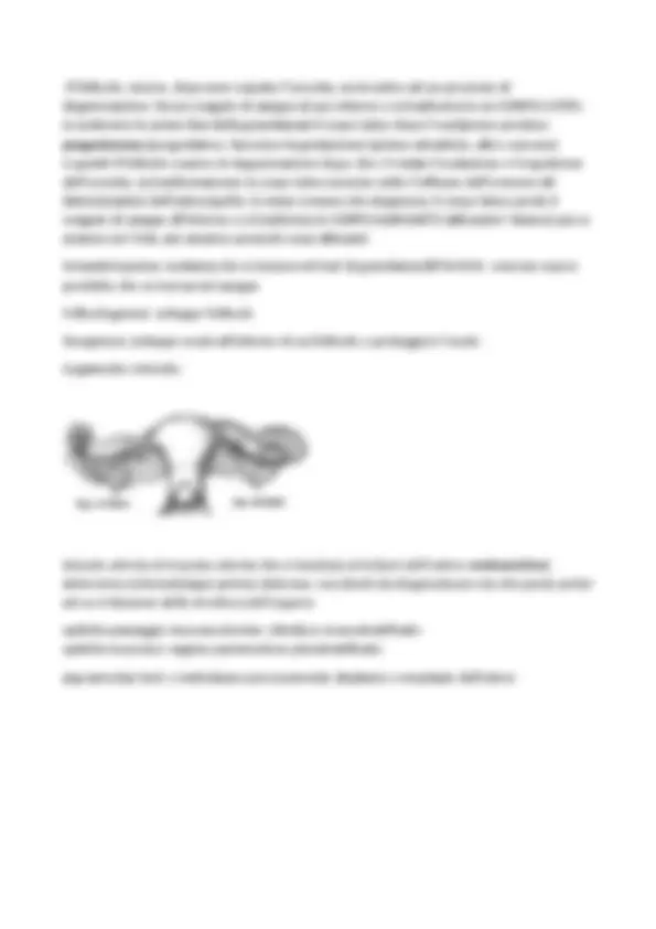 Anatomia del Cuore: Struttura, Funzioni e Vascolarizzazione | Appunti ...