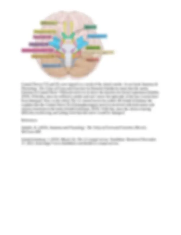 Cranial Nerve Damage in Stroke: A Case Study Analysis | Assignments ...