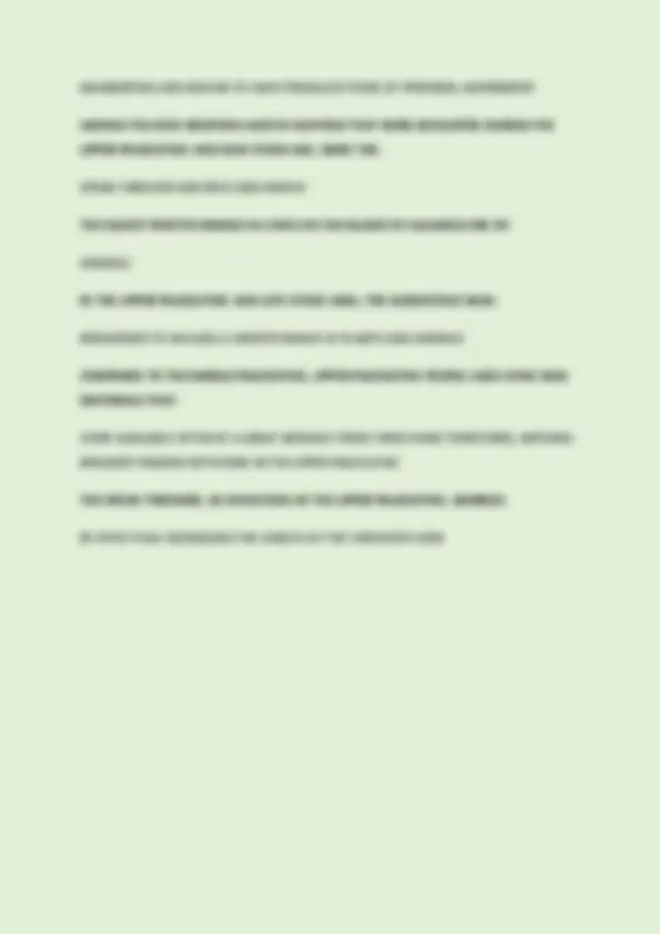 ASB 222 BURIED CITIES AND LOST TRIBES - CHAPTER 5 + 6 TEST 100% ...