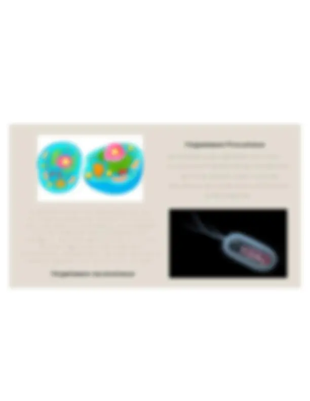 Celulas mapa conceptual | Schemes and Mind Maps Chemistry | Docsity