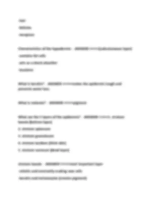 Anatomy and Physiology 1 Final Exam: Questions and Answers | Exams Nursing | Docsity