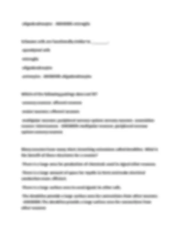 BIO 201 Exam 4: Autonomic Nervous System and Neuroglia | Exams Biology | Docsity