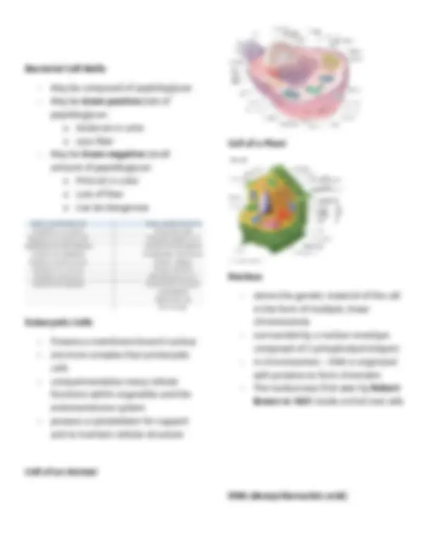 Biology Notes about Cell Theory | Study notes Biology | Docsity