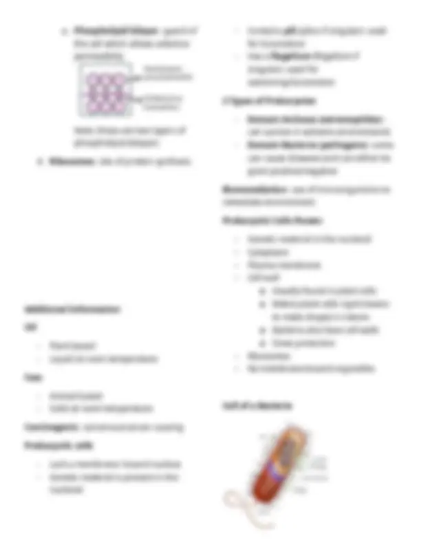 Biology Notes about Cell Theory | Study notes Biology | Docsity