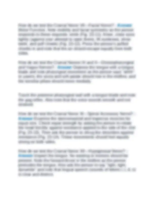 Neurological System: Anatomy, Function, and Assessment - A Study Guide ...