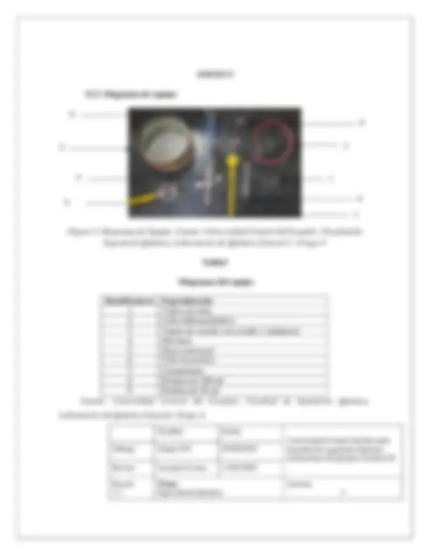 ANEXOS PRACTICA 13.k | Guías, Proyectos, Investigaciones de Ingeniería Química | Docsity
