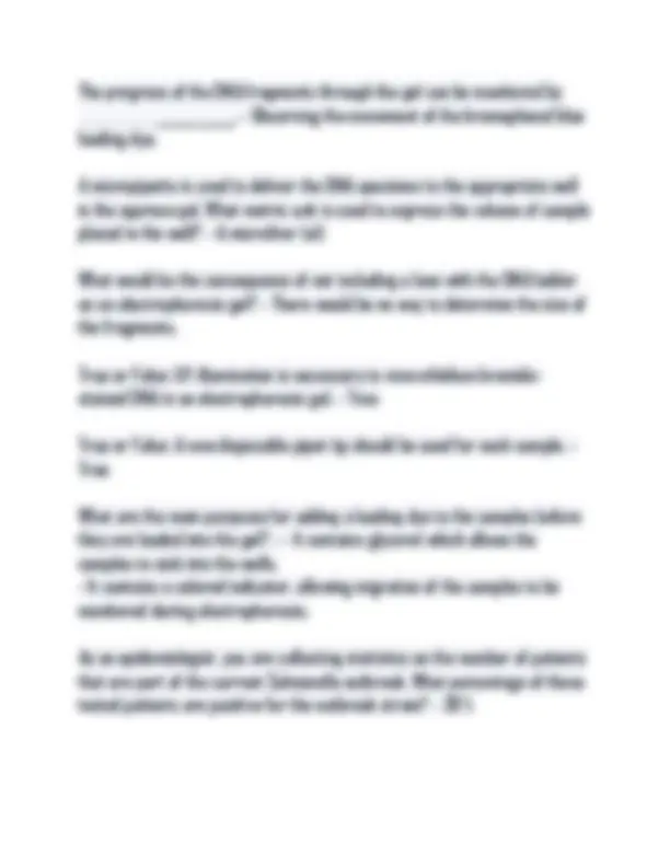 Microbiology Lab Final Study Guide: Identifying Microorganisms | Exams Nursing | Docsity