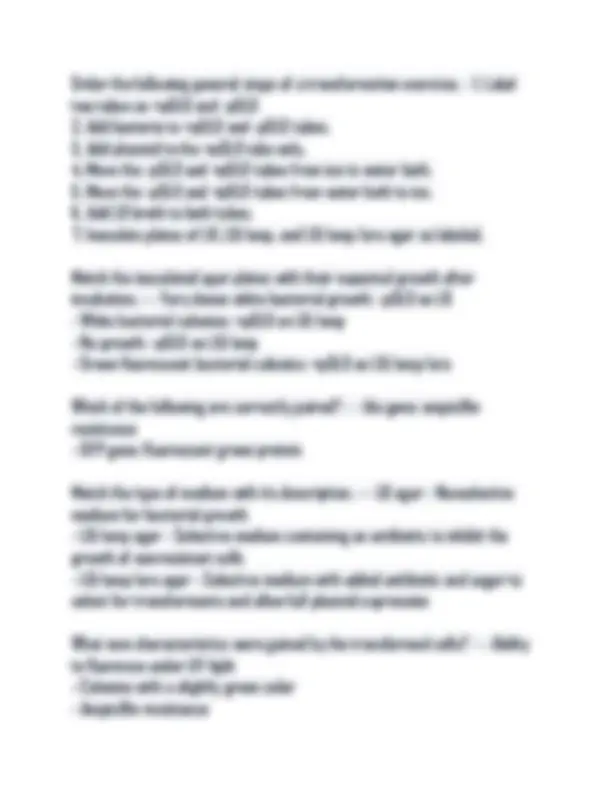 Microbiology Lab Final Study Guide: Identifying Microorganisms | Exams ...