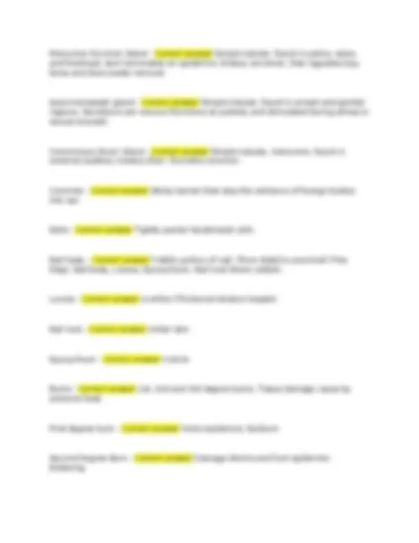 Integumentary System Exam: Questions & Answers | Exams Anatomy | Docsity