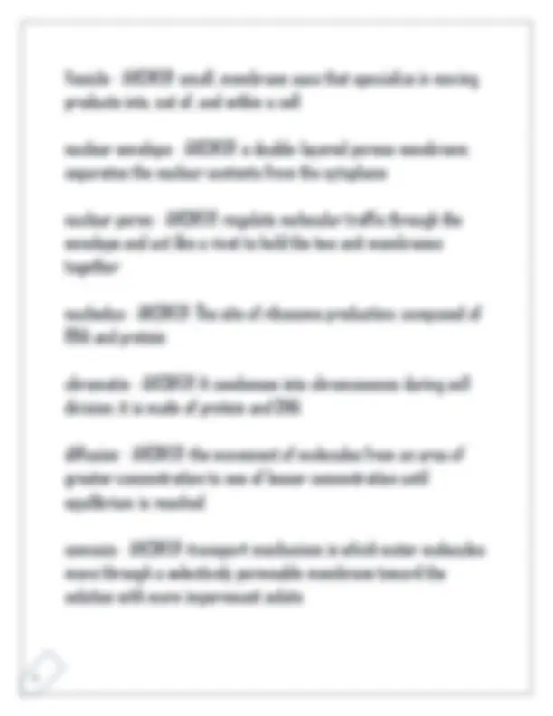 APHY 101 Final Exam: Anatomy and Physiology Review with Solutions ...