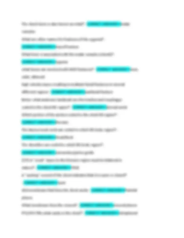 CAISS Certification Study Guide Exam: Verified Questions and Answers ...