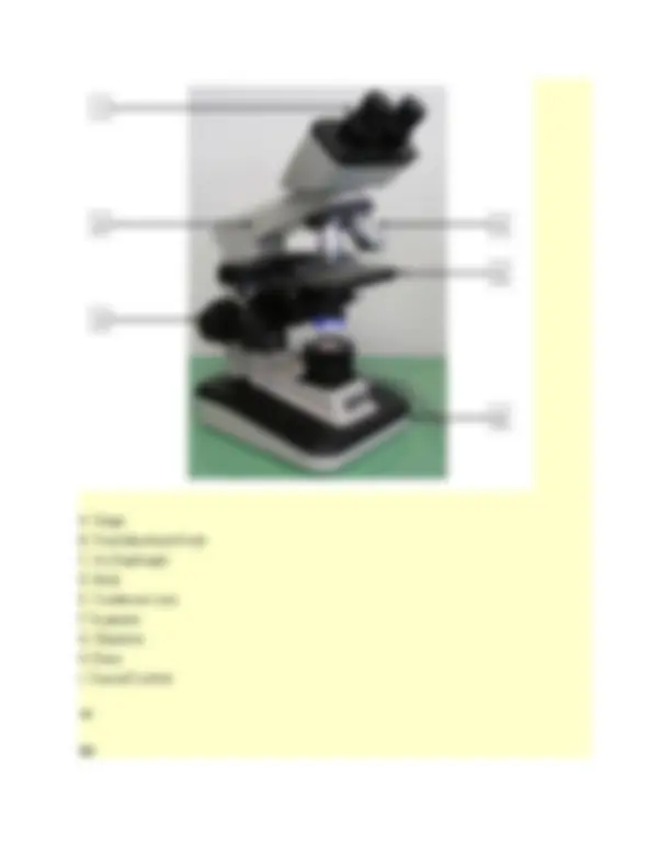 Microscopy and Staining Techniques: A Comprehensive Guide with Exercises | Exams Nursing | Docsity