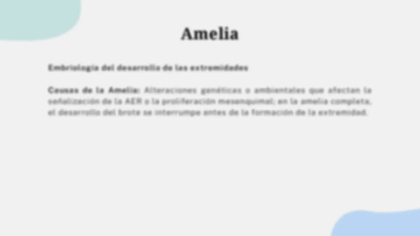 Músculos, embriología | Schemes and Mind Maps Embryology | Docsity