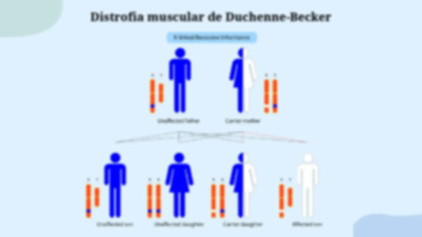 Músculos, embriología | Schemes and Mind Maps Embryology | Docsity